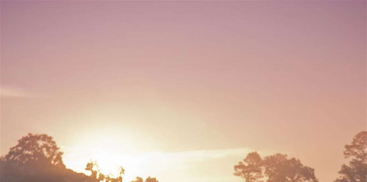 M6 Midstream moves ahead on Haynesville Shale gas gathering project ...