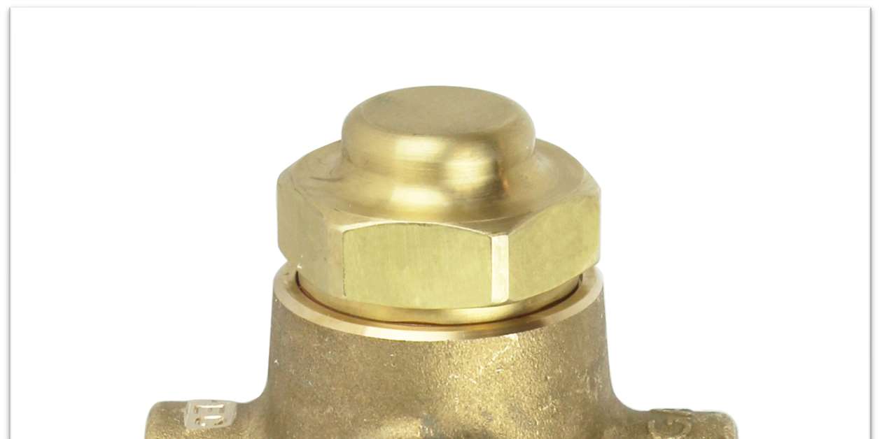 RegO Launches New CBE504 Series Pressure Builder-Economizer Regulator ...