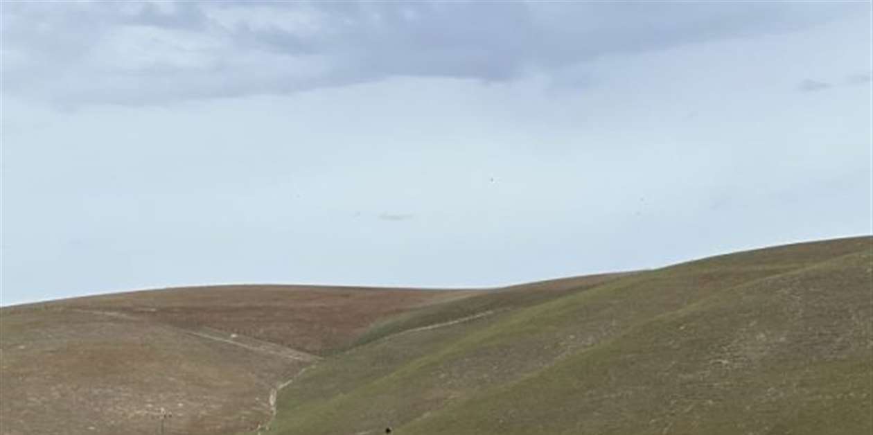 Trio Petroleum halts McCool Ranch operations - CompressorTECH²