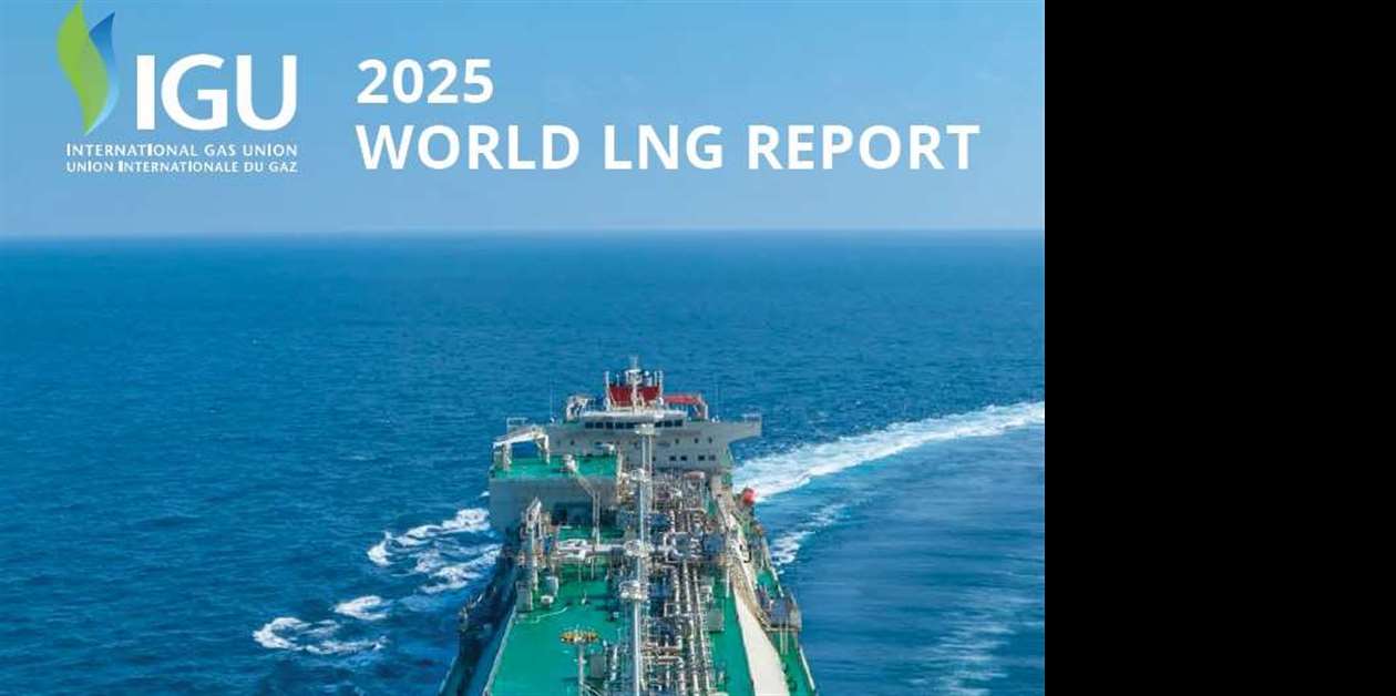 Qatar holds firm in global LNG rankings despite slight export dip ...